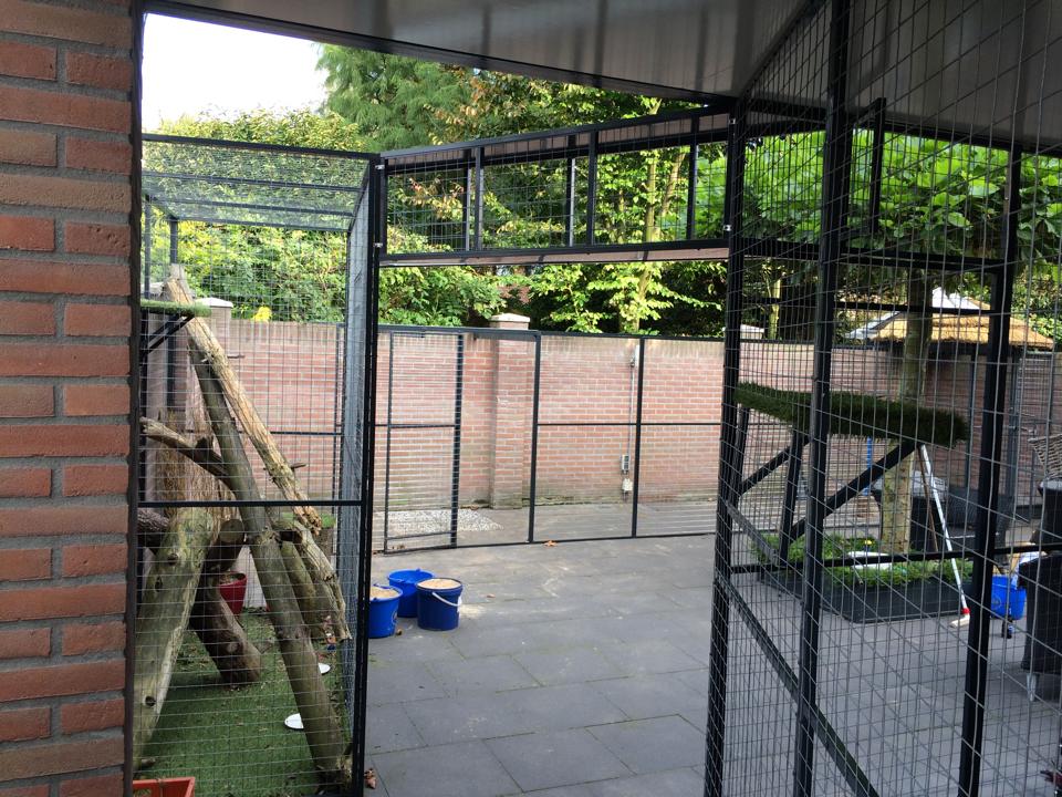 Kattenren tuin | De veiligste kattenrennen van topkwaliteit.