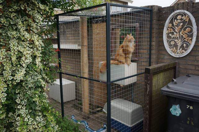 Kattenren tuin | De veiligste kattenrennen van topkwaliteit.