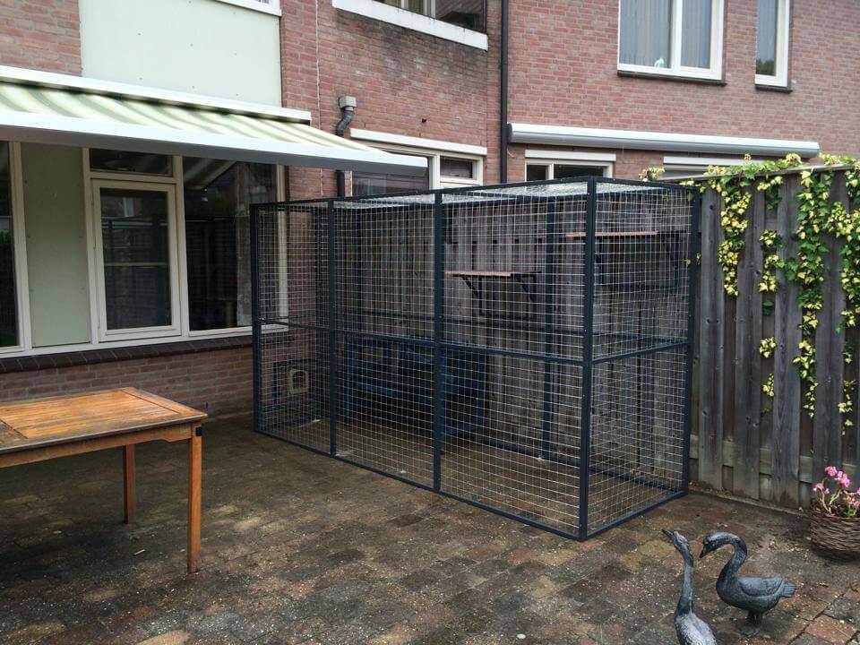 Kattenren tuin | De veiligste kattenrennen van topkwaliteit.